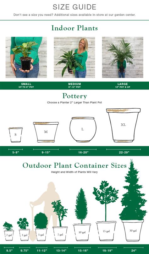 Flower Pot Sizes
