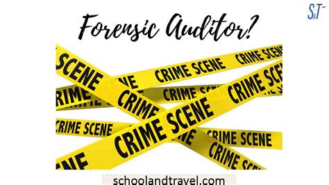 Forensic Auditor Everything You Need To Know