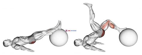 Exercise Ball One Legged Diagonal Kick Hamstring Curl Home Gym Review