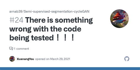 There Is Something Wrong With The Code Being Tested Issue 24