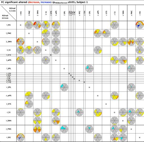 Comprehensive Overview Of The Results For Subject 1 And All Datasets