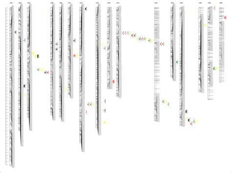 The Positions Of Qtl Affect The Four Important Agronomic Traits In