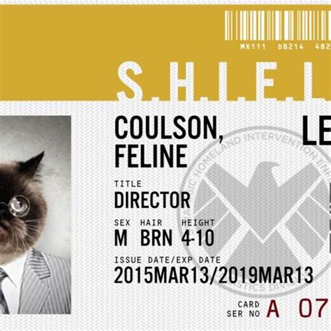 Make Your Own Agents Of Shield Id Agents Of Shield Is This