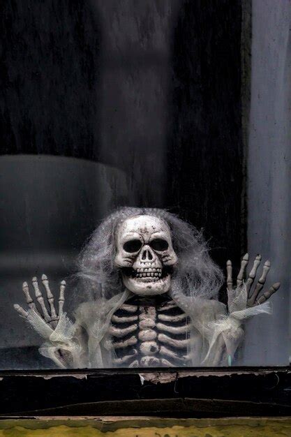 Premium Photo Human Skull On A Tree