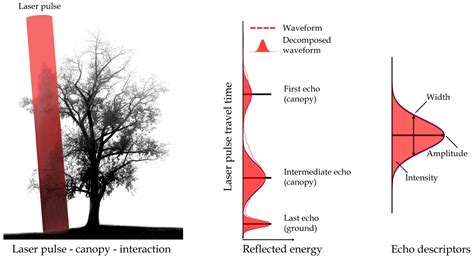 Forests Free Full Text Towards Automated Characterization Of Canopy Layering In Mixed
