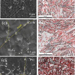 SEM Results And EBSD Image Quality Map Overlapped With GBs Of Tempered Download Scientific