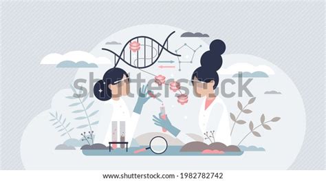 Epigenetics Science Images Stock Photos D Objects Vectors Shutterstock