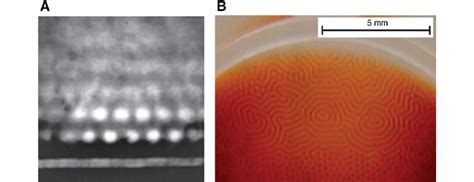 Turing Patterns Enabled By Iodine Sequestration In The Cima Reaction