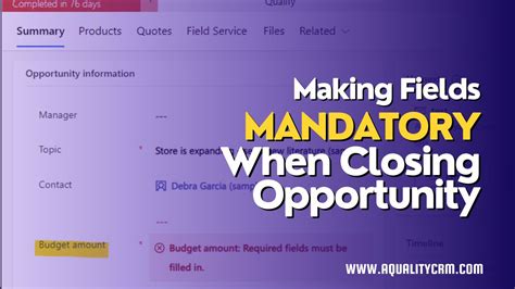 Making Fields Mandatory When Closing Opportunities In Dynamics Crm Aqualitycrm