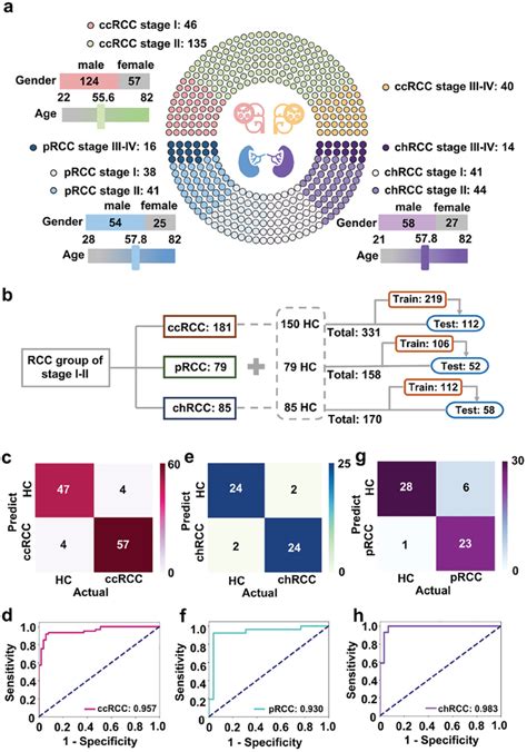 Diagnosis Of Early‐stage Rcc Subtypes A Age Sex And Stage Download Scientific Diagram