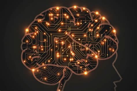 Premium Photo A Human Brain With Interconnected Circuits And Glowing