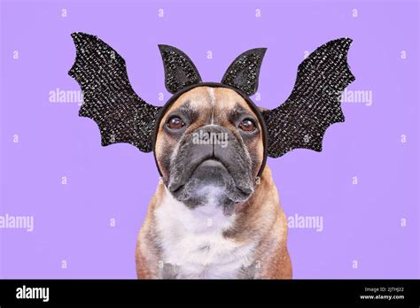 Bat Ears Costume