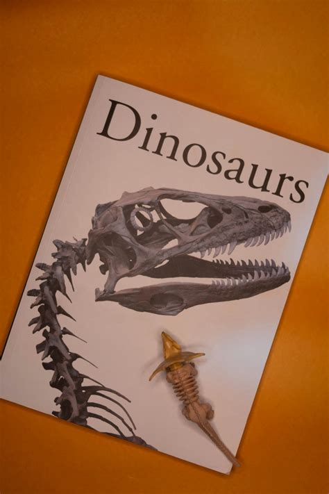 갈색 테이블에 흰색과 검은 색 책 사진 Unsplash의 무료 공룡 이미지