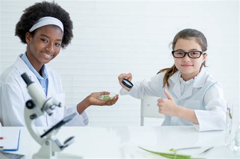 젊은 아프리카 계 미국인 과학자 소녀는 식물 조직의 조각과 유리 접시를 잡고 그녀의 백인 친구는 돋보기를 잡고 모두 카메라를 보고 10 11세에 대한 스톡 사진 및 기타