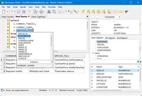 Golden SQL Query Tool From Benthic Software