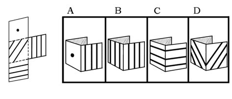 spatial relations practice and visual acuity questions