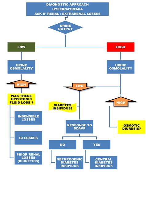 Diagnostic Approach To Hypernatremia Download Scienti