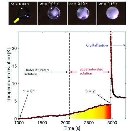 Top The Top View Of The Time Lapse Images Shows A Rapid Progression Download Scientific