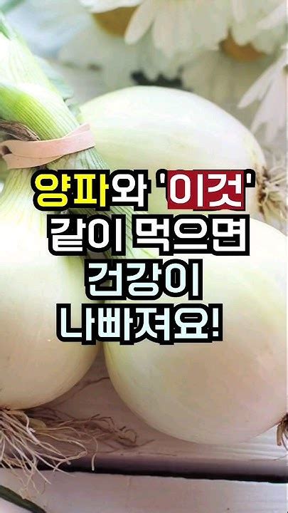 양파와 절대로 함께 먹지 마세요 양파와 최악의 궁합인 음식과 최고인 음식 Shorts 건강 건강습관 건강정보 50대 건강관리 음식 Youtube