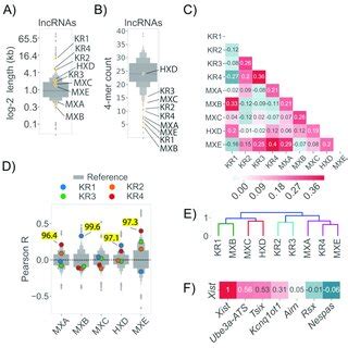 Protein Binding Motif Enrichment In Repeats Of Xist And Rsx And Download Scientific Diagram