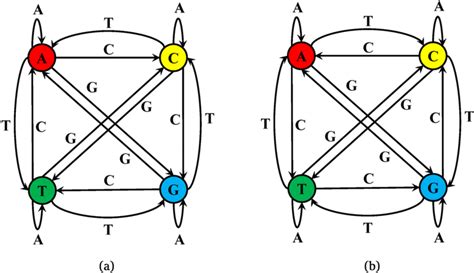 The State Diagram Of A The Dna Right Circular Shift Operator And B Download Scientific