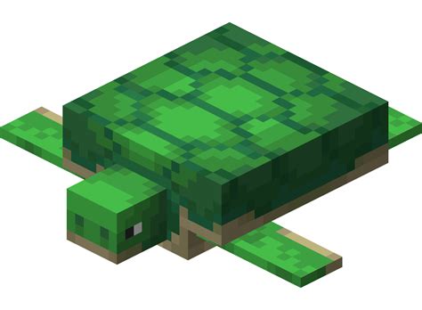 Sea Turtle Minecraft Ultimate Wiki Fandom