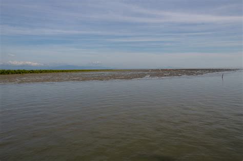 맹그로브 숲은 나무가 가득하고 사람이 살지 않으며 아침 햇살에 온갖 바다 생물이 서식하는 조용한 곳이며 구름과 맑은 하늘은 법의 아름다움입니다 0명에 대한 스톡 사진 및