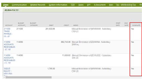 Reconcile Netsuite Auto Elimination Amounts Conversations With Meir Bulman