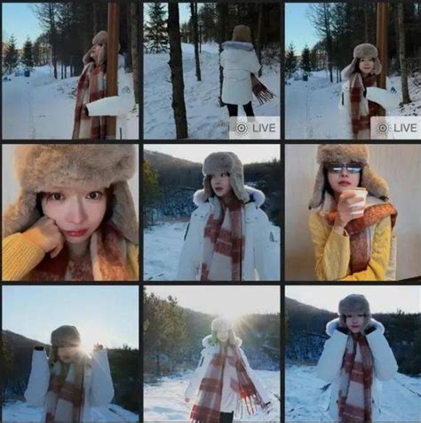 34岁魏璎珞吴谨言挺着大孕肚在雪地里转圈圈看得粉丝心惊胆战 可真 事业 黄金期