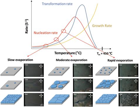 Formation Of Polymer Domains With Different Solidification Rates In The
