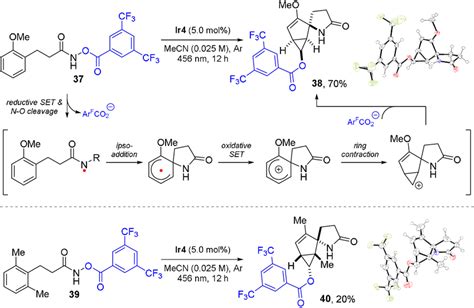 Access To Spirolactams Via Radical Ipso‐addition Download Scientific