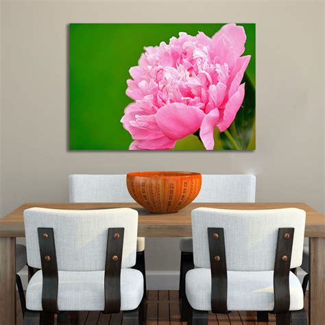 Цээнийн ягаан цэцэг фото