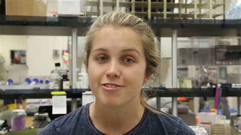 Chromoproteins Youtube