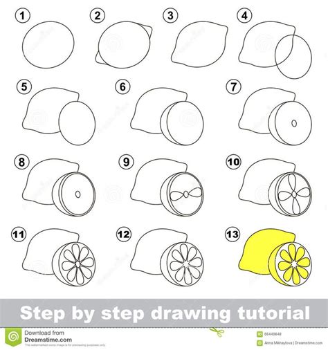 Drawing Tutorial How To Draw A Lemon Stock Vector Illustration Of Develope Educate 66449848