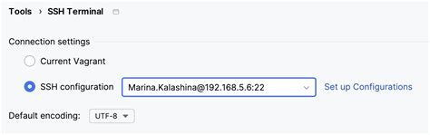 Run SSH Terminal CLion Documentation