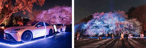 トヨタの給電車が新宿御苑の夜桜を彩るイベントに協力桜動く電源でお花見体験をアップデート SDGs ONLINE