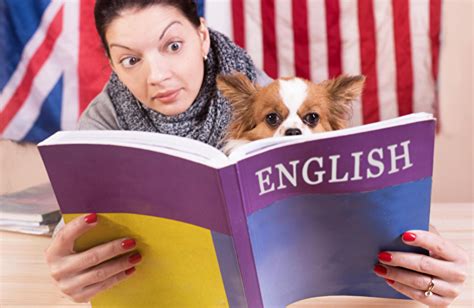 Правильні дієслова в англійській мові Englishdom