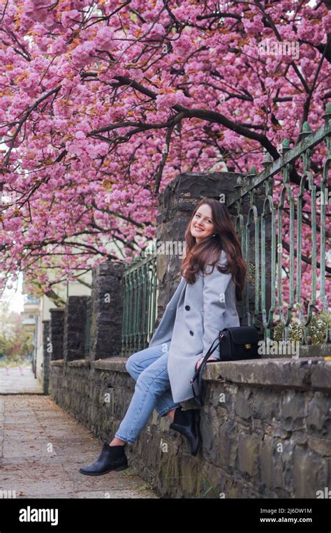 A Happy Smiling Brunette Young Woman Is Sitting Under A Big Sakura Tree In Springtime Stock