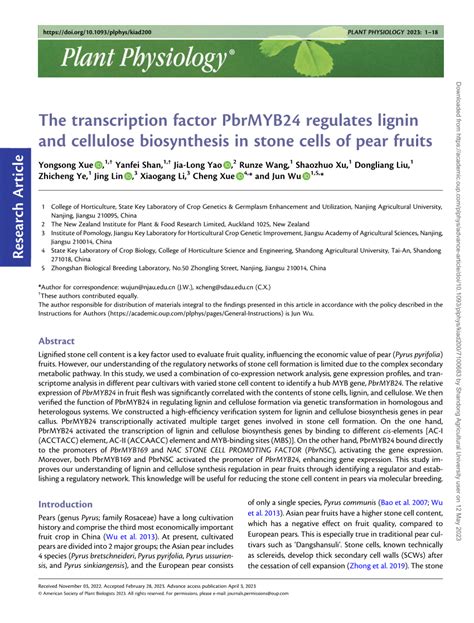 Pdf The Transcription Factor Pbrmyb24 Regulates Lignin And Cellulose Biosynthesis In Stone