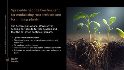 Kiara Bechta Metti On Linkedin Root Architecture Regulator Rar Key