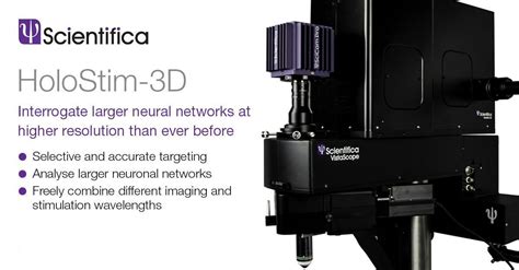 Scientifica On Linkedin Multiphoton Imaging Neuroscience