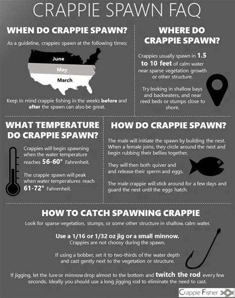 Crappie Spawn FAQ How To Catch Spawning Crappie Best Crappie Fishing Times