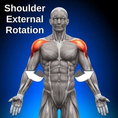 8 Infraspinatus Exercises To Build A Strong Rotator Cuff Facts Physio