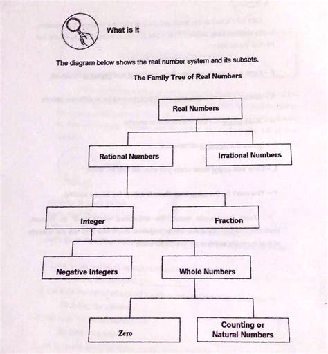 Solved Please Answer Please What Is The Diagram Below Shows The Real Number System And Its