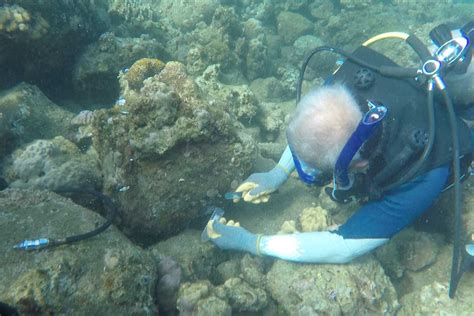 Up Scientists Explore Marine Microbial Genomes From Mabini Batangas Journal Online