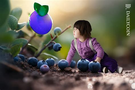 blueberry protocol suspends lending following 1 3m exploit dailycoin