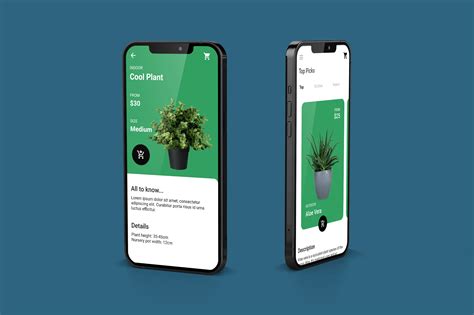 GitHub Hadikachmar Flutter Plant UI