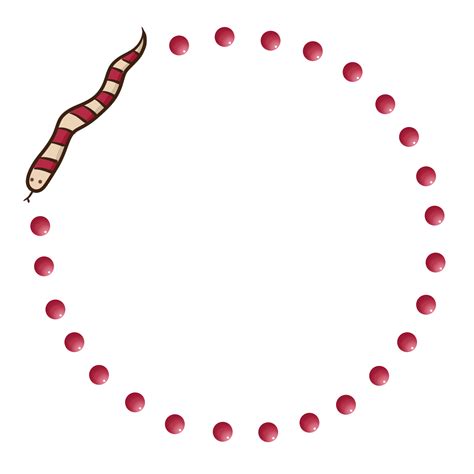 用pygame实现贪吃蛇游戏python 贪吃蛇 登录 Csdn博客