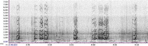 Spectrogram Showing A Segment Of Seconds Of An Humpback Whale Song Download Scientific Diagram