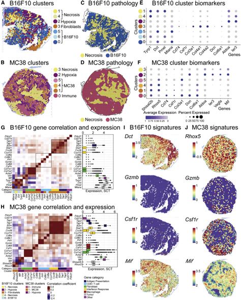 Assessment Of Spatial Transcriptomics For Oncology Discovery Cell Reports Methods